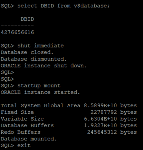Change the DBID and DBNAME for Oracle Databases - Database Analyser